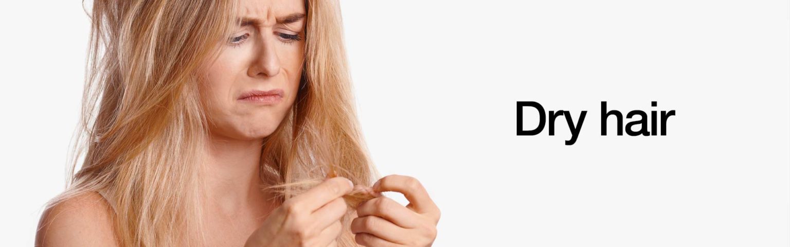 Dry Hair Products & Treatments - Hairhouse Warehouse